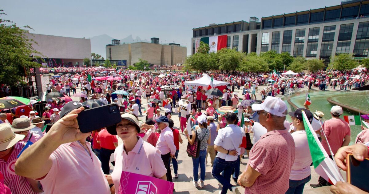 Marea rosa inicia debate sobre convertirse en partido político ...